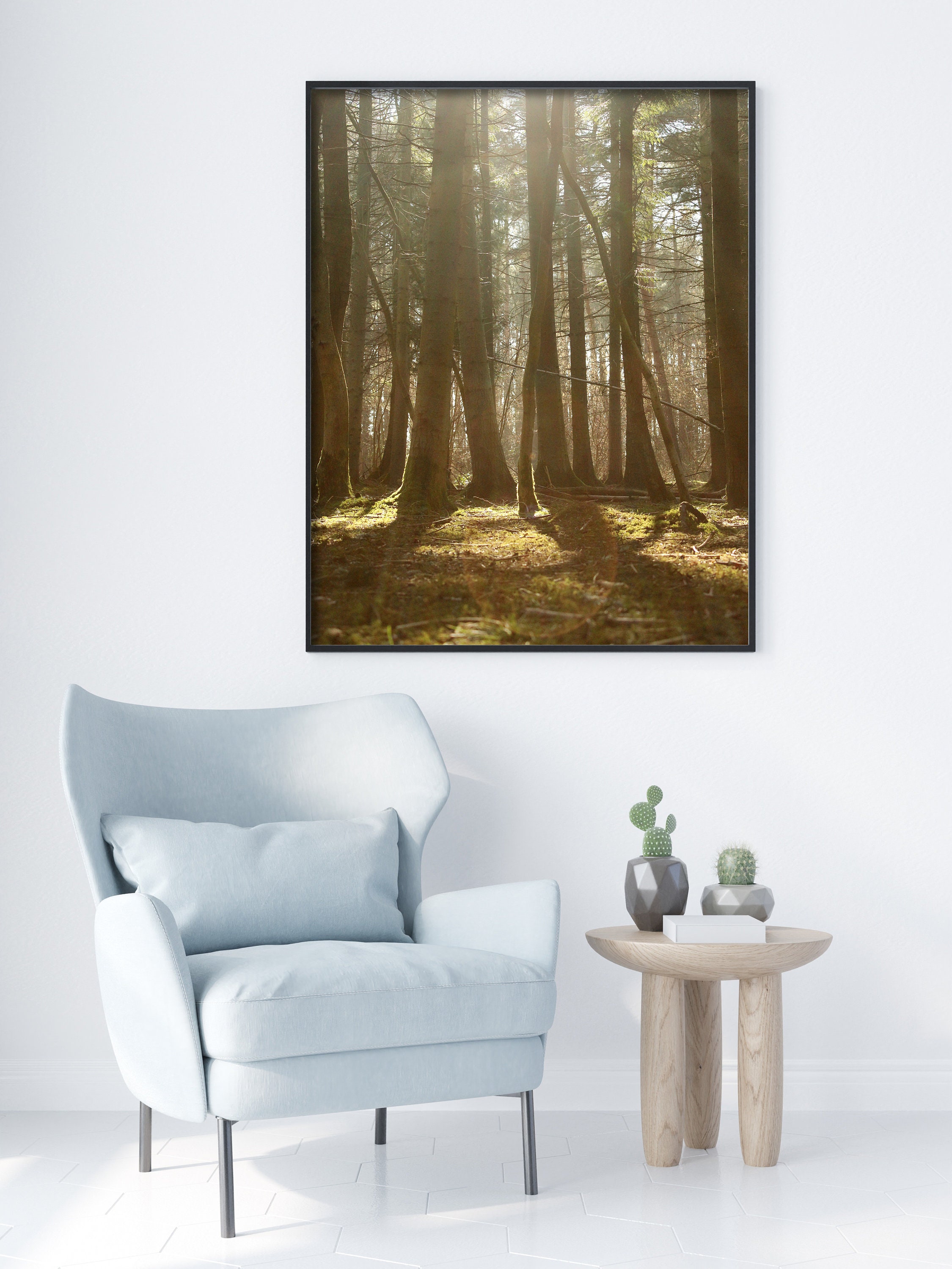 Forest Lens Flare Photography Instant Digital Download Photography ...