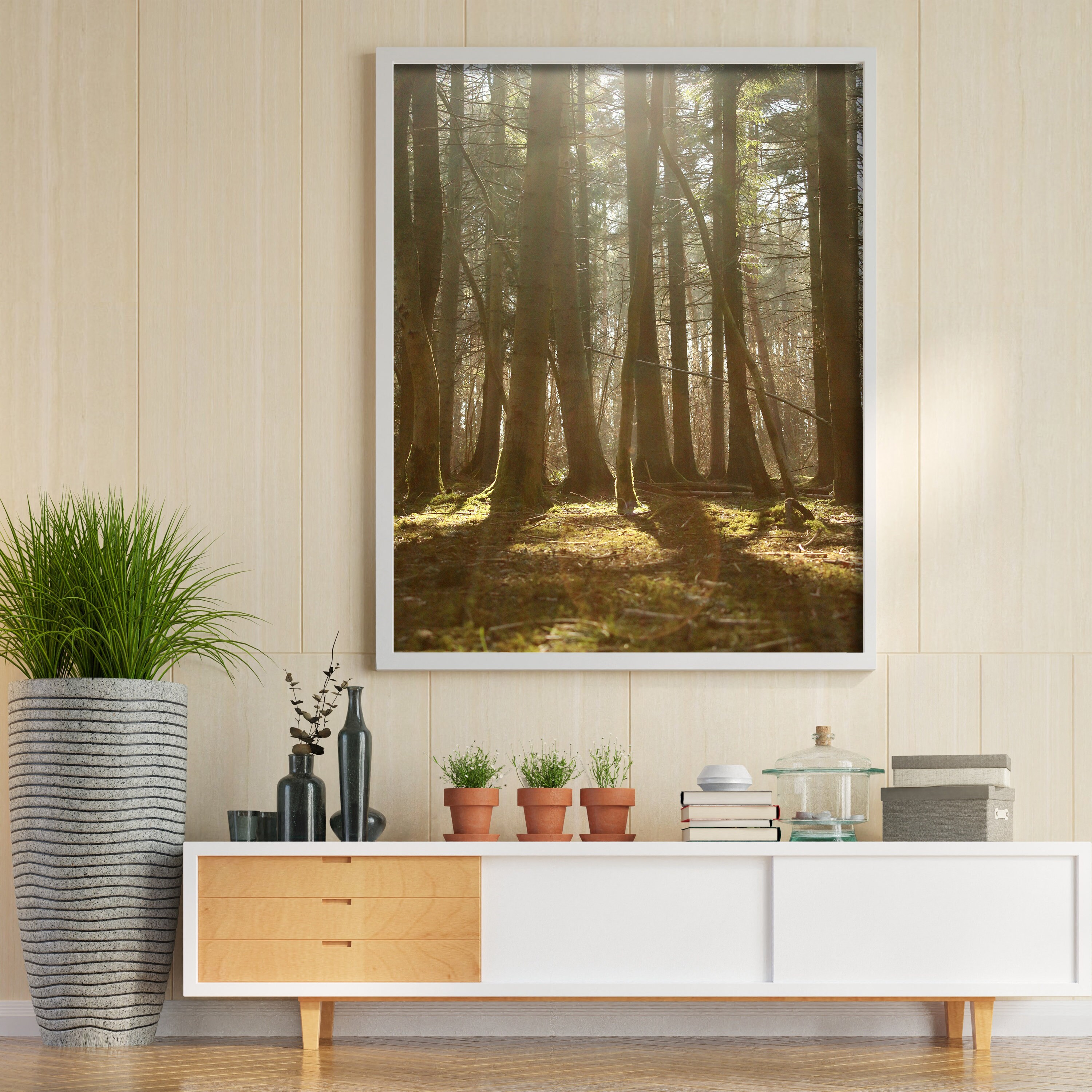 Forest Lens Flare Photography Instant Digital Download Photography ...