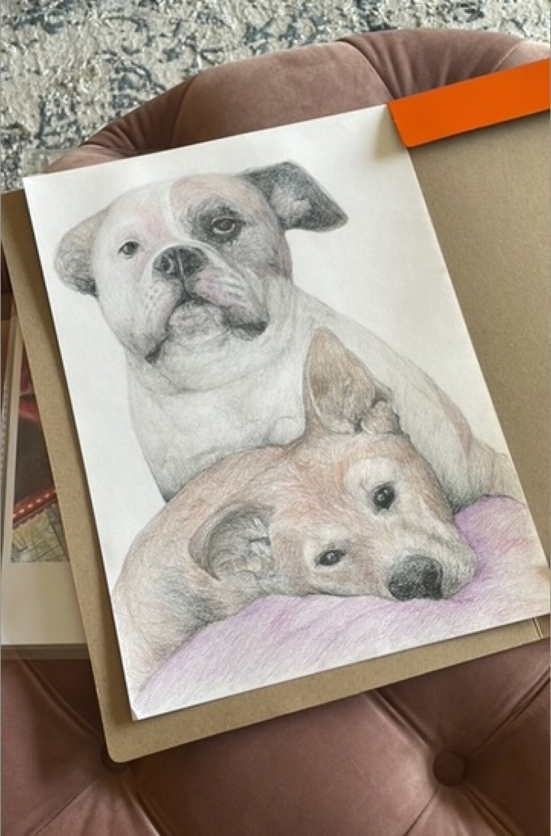 Pet Portraits | Fast Turnaround| You Send Pic We Send Drawing| Hand ...