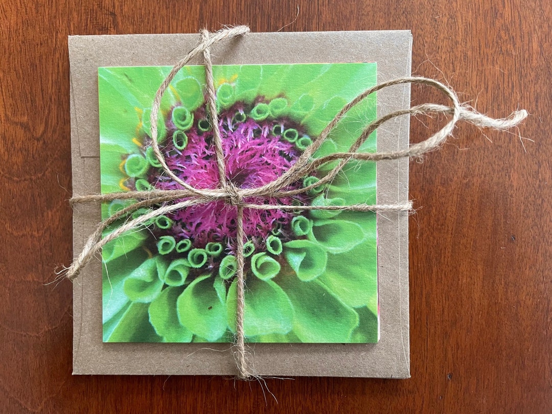 Photo Note Card Set Square Original Photo Note Card Set set of 5 Unique ...