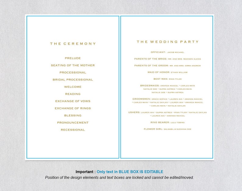 Gold Wedding Program Folded Editable Template Print DIY | Etsy