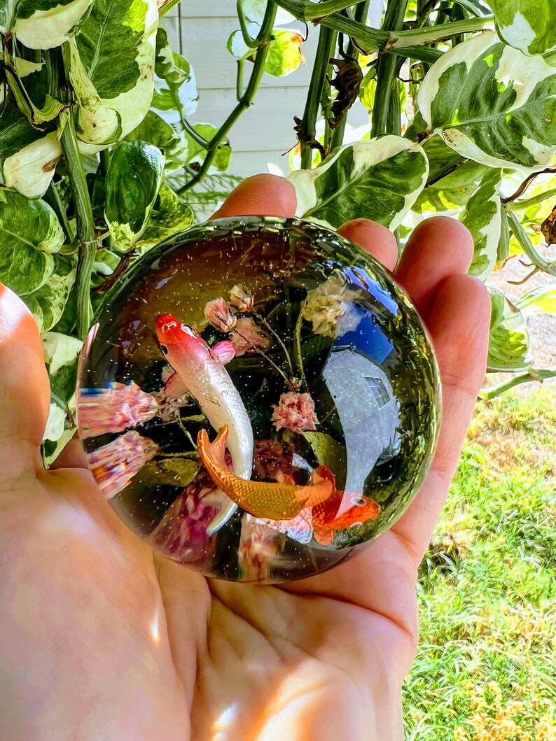 Aquarium Fish in a Bowl Miniature Diorama Terrarium Fish Tank - Etsy