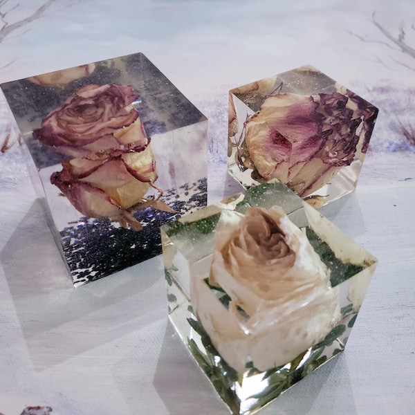 Preserved Rose Globe - Etsy