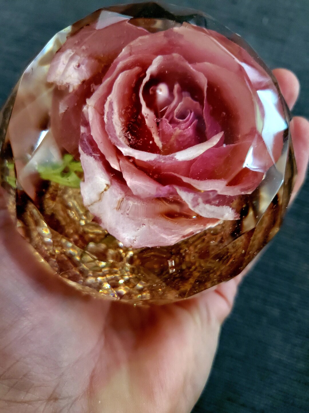 Forever Rose. Preserved Wedding Bridal Flowers Paperweight Keepsake ...