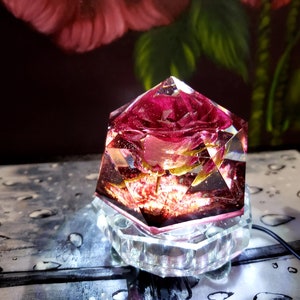 Preserved Red Rose in Resin Keepsake Lamp.paperweight Keepsake.memories ...