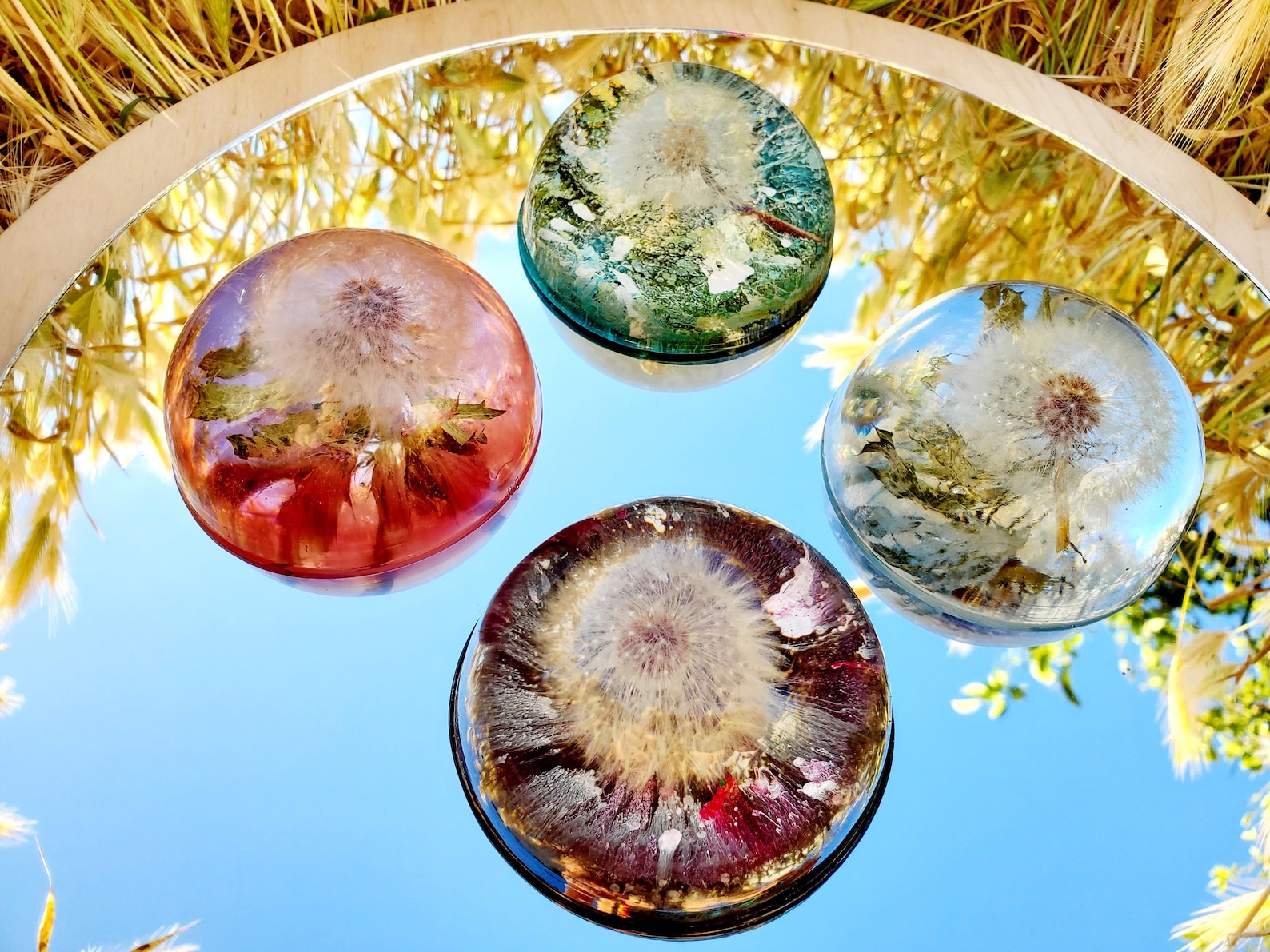 Dandelion Resin Paperweight: Wish Seed Keepsake, Home Decor - Etsy