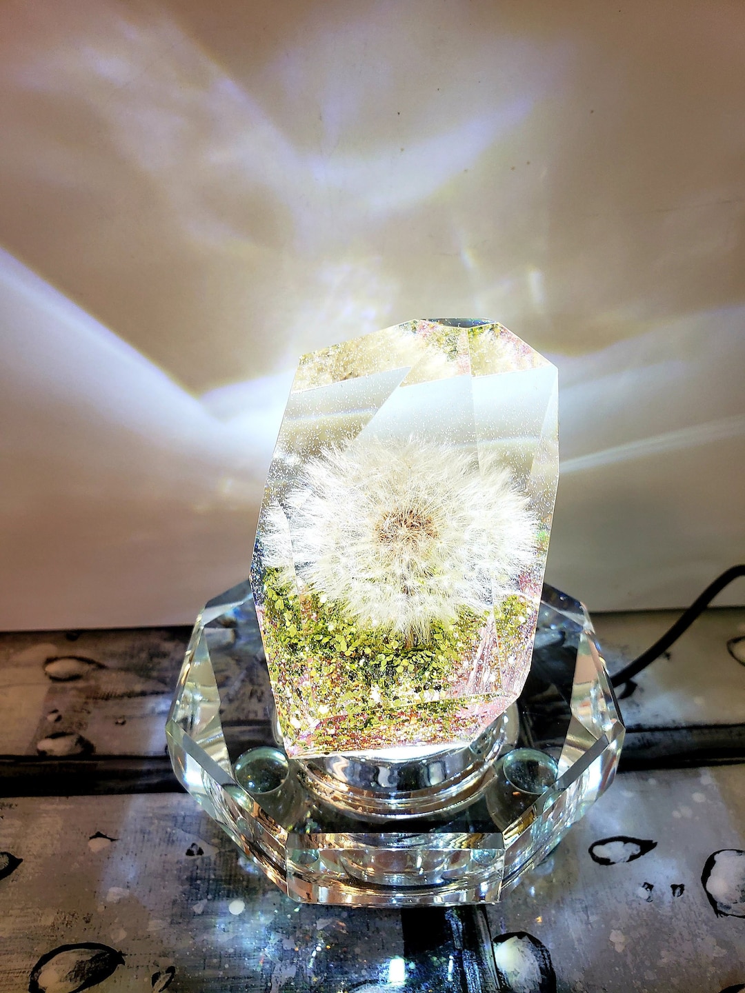 Resin Preserved Dandelion in 3D Resin Keepsake Lamp. Paperweight ...