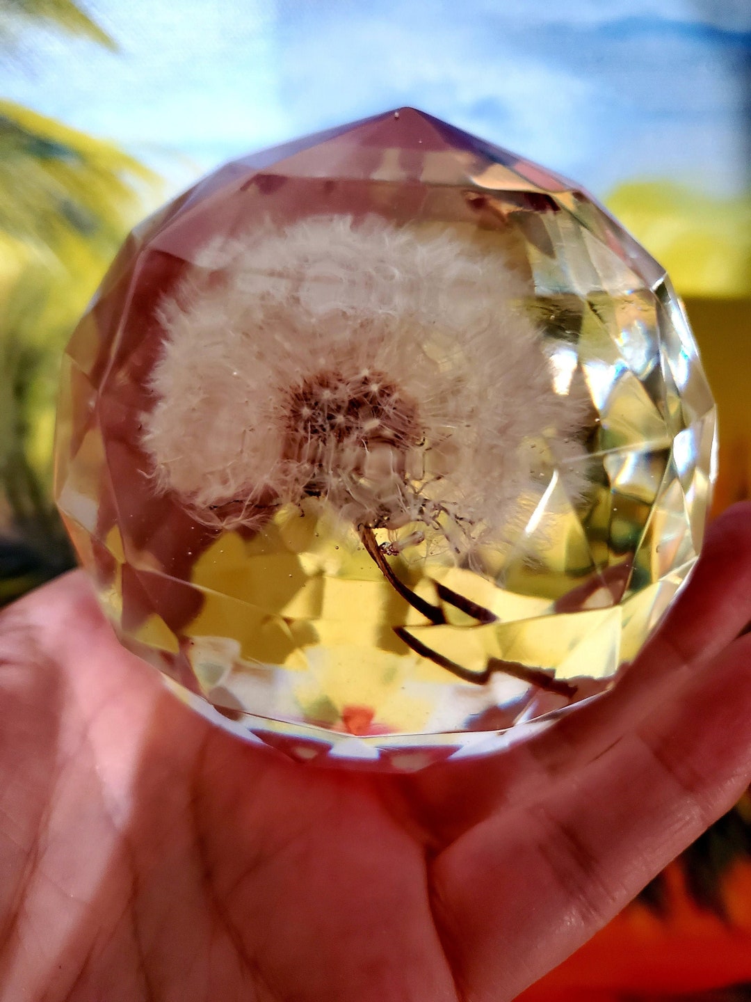 Real Flower Dandelion Paperweight Faceted Sphere Resin Art,2 3/4 ...