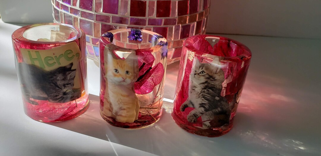 Pet Loss Paperweight Keepsake Memorial Sympathy Urn With Ashes in Resin ...