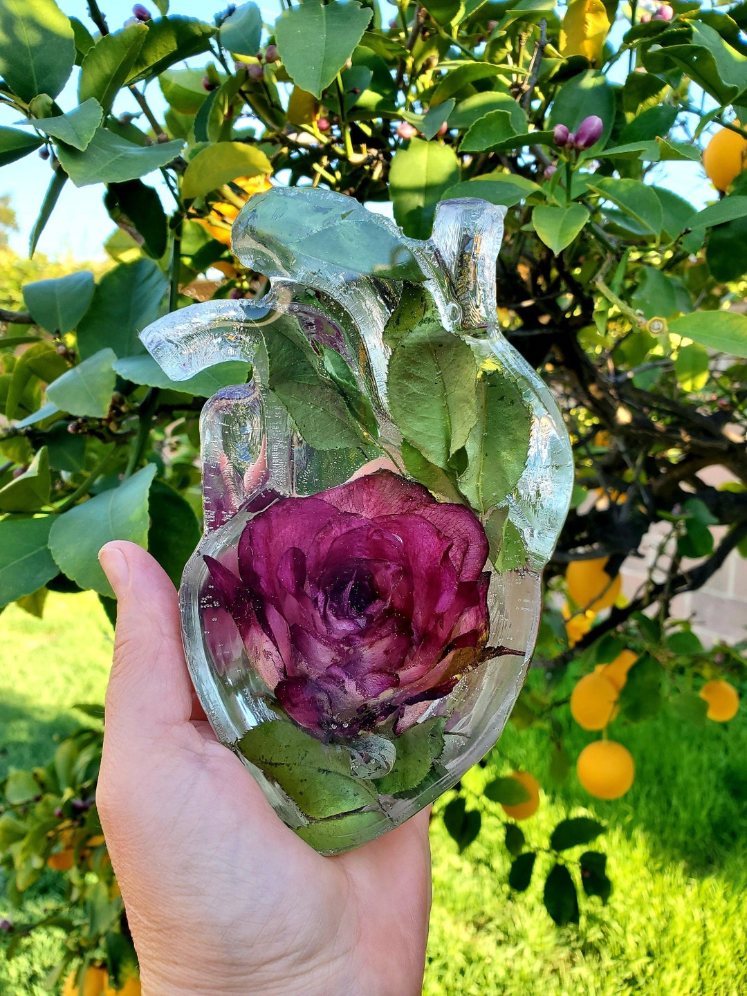 Anatomical Human Heart Flowers Preservation Paperweight Keepsake ...