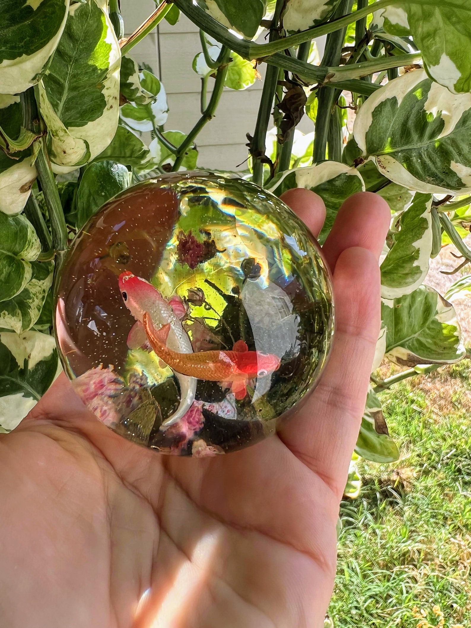 Aquarium Fish in a Bowl Miniature Diorama Terrarium Fish Tank - Etsy