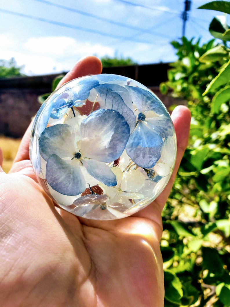 Flowers Hydrangea Sphere Keepsake Paperweight . Hydrangea - Etsy