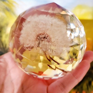 Real Flower Dandelion Paperweight Faceted Sphere Resin Art,2 3/4 ...