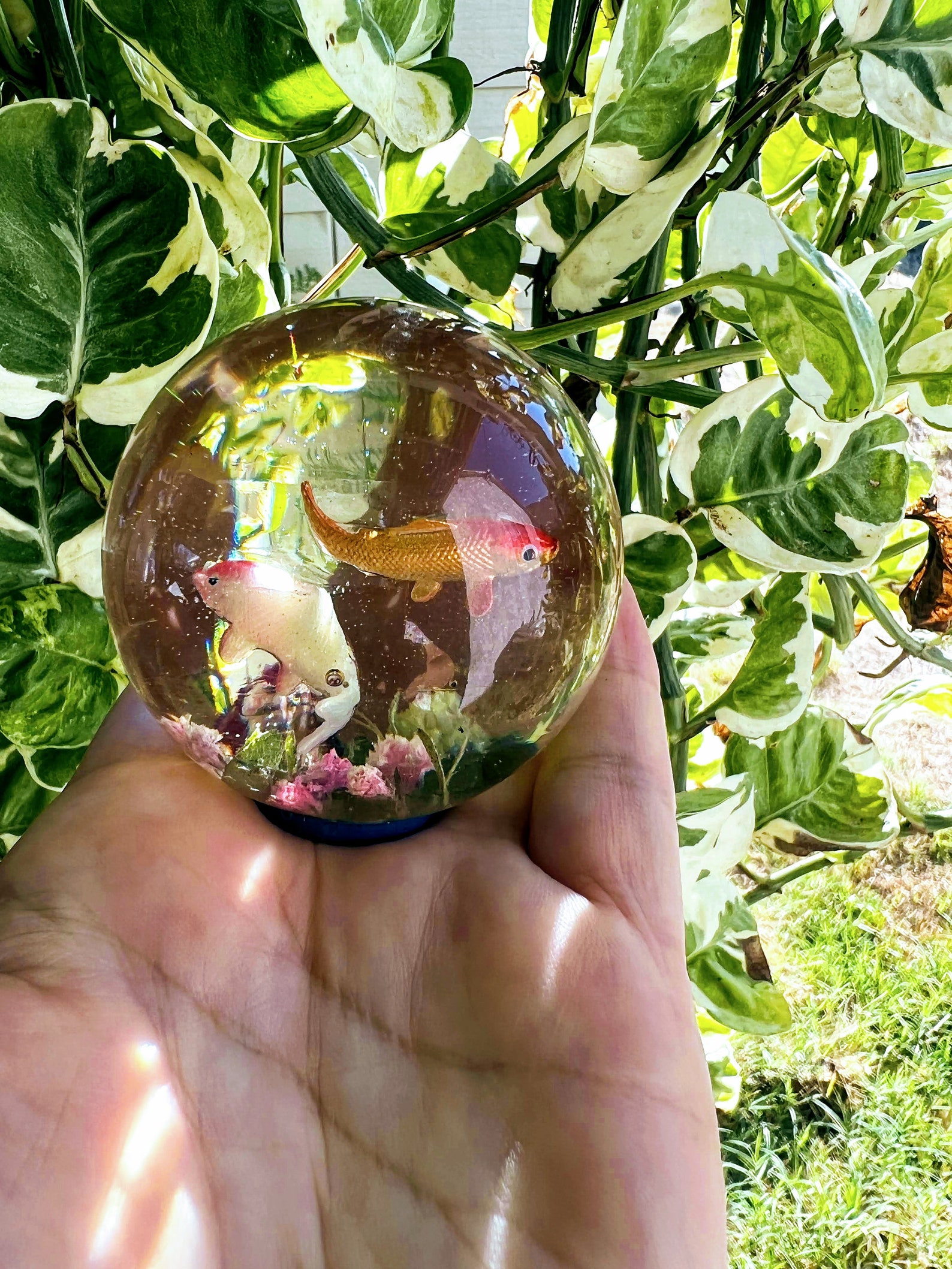 Aquarium Fish in a Bowl Miniature Diorama Terrarium Fish Tank - Etsy