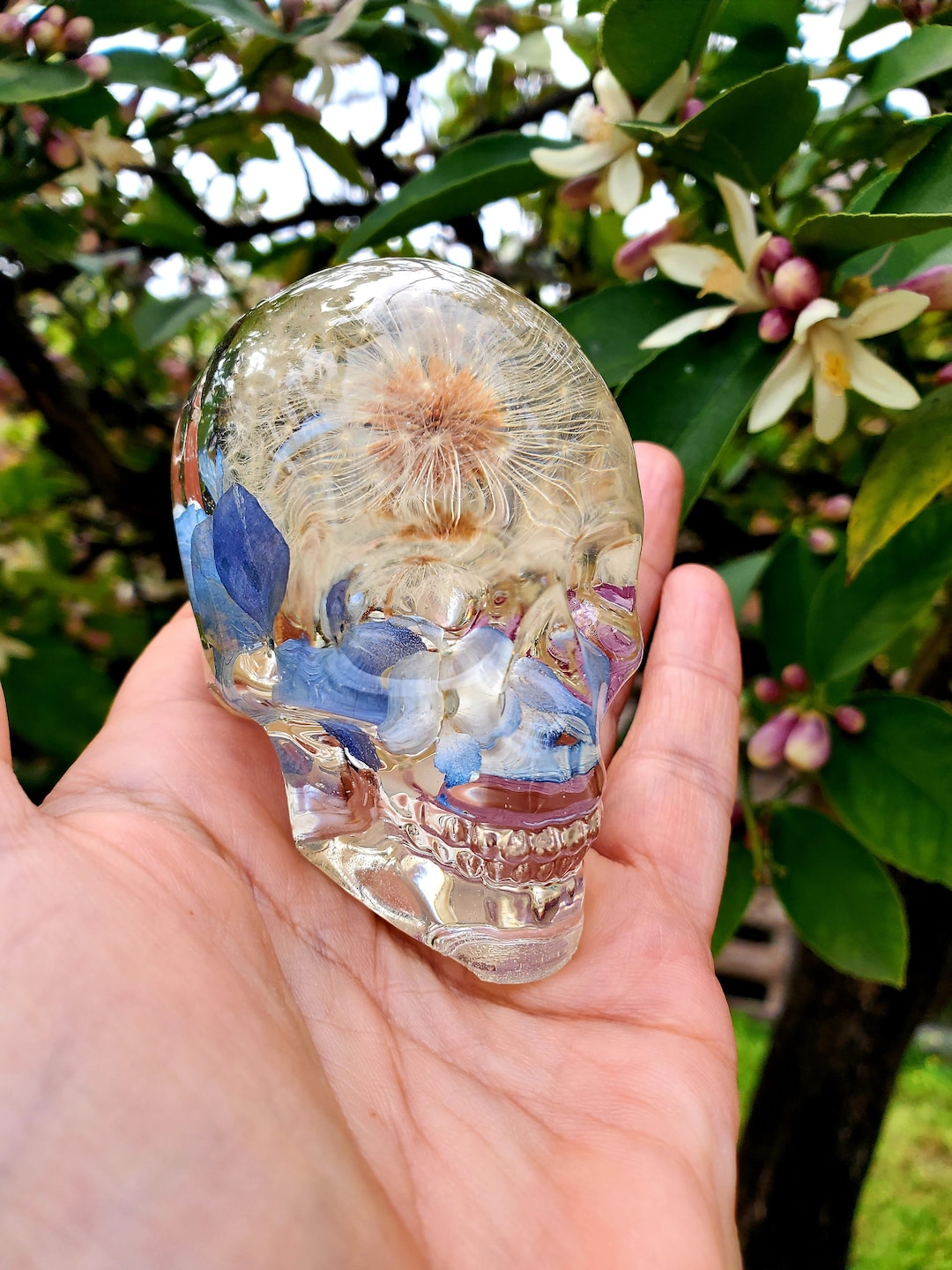 Resin Skull Paperweight: Real Dandelion & Preserved Flowers Keepsake - Etsy