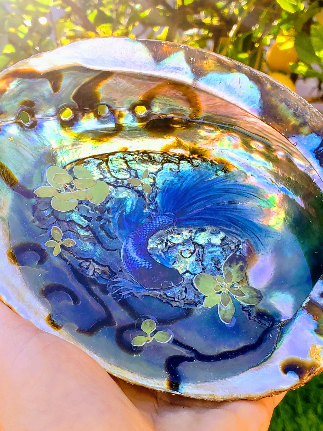 Resin Betta Fish Pond Paperweight: Abalone Shell Office Decor - Etsy