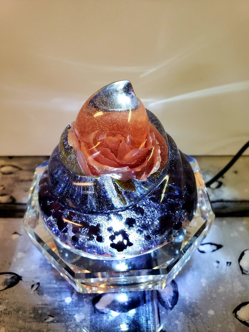 Resin Preserved Flowers in Resin Keepsake Lamp. Rose | Etsy