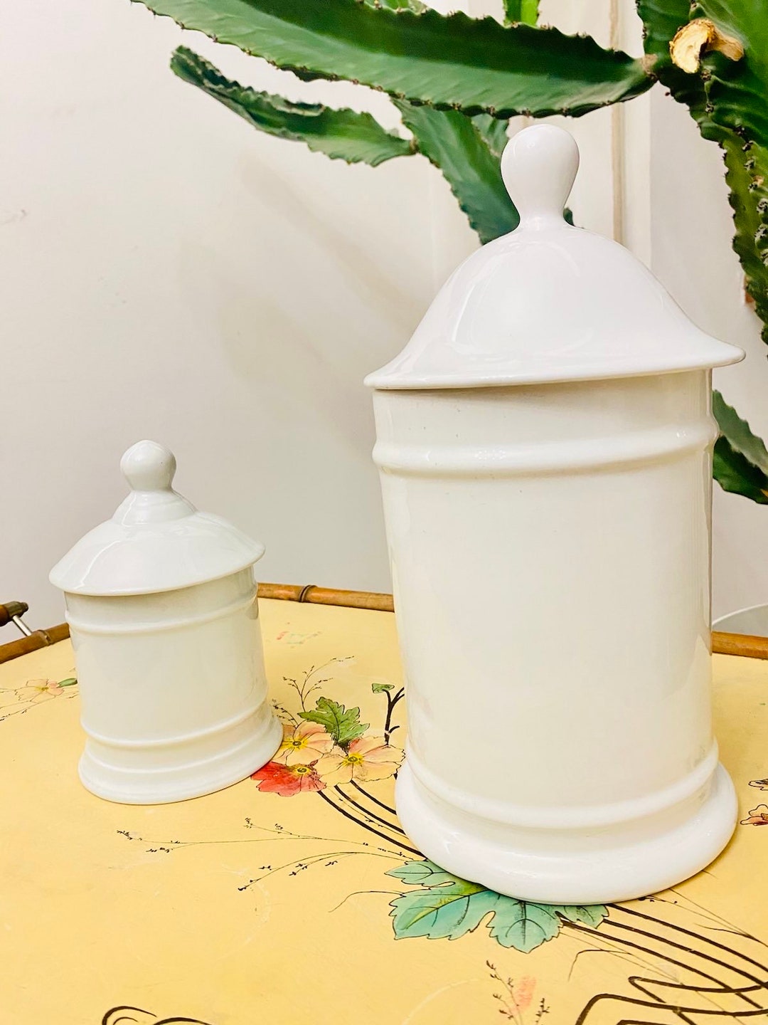 Pharmacy Jar From the 19th Century and Small Pharmacy Jar From the 20th ...