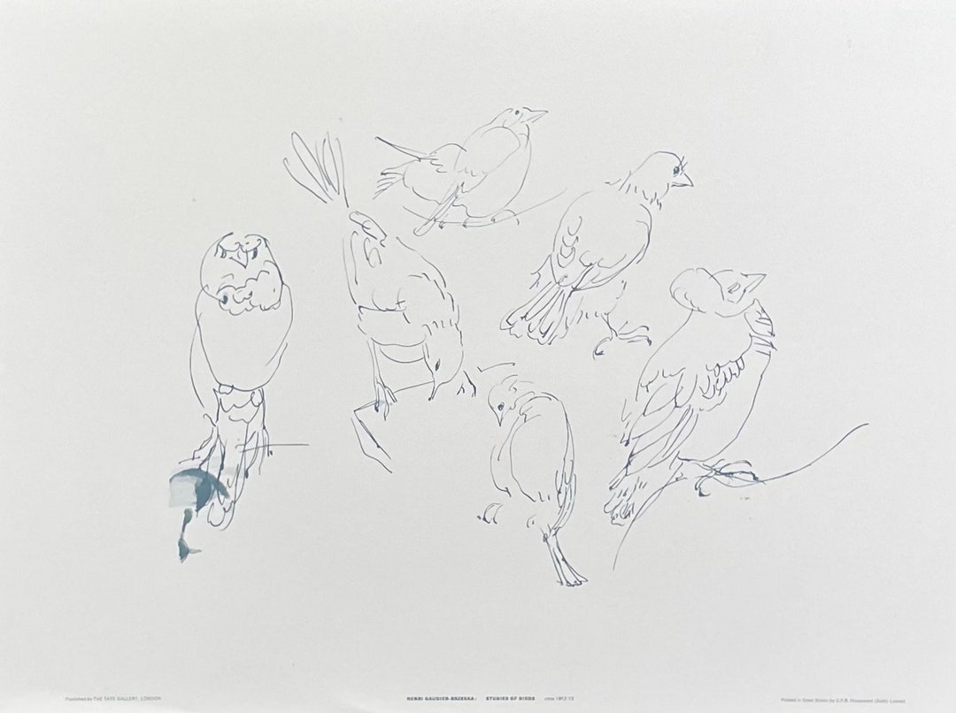 Henri Gaudier Breska Exhibition Poster - Study of Birds - Tate Gallery ...