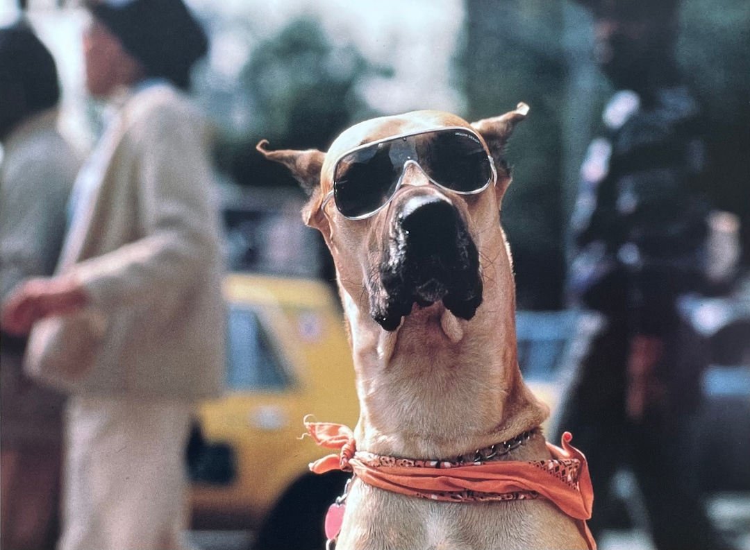 Annie Sprinkle Exhibition Poster - Egor in Times Square - Dog Portrait ...