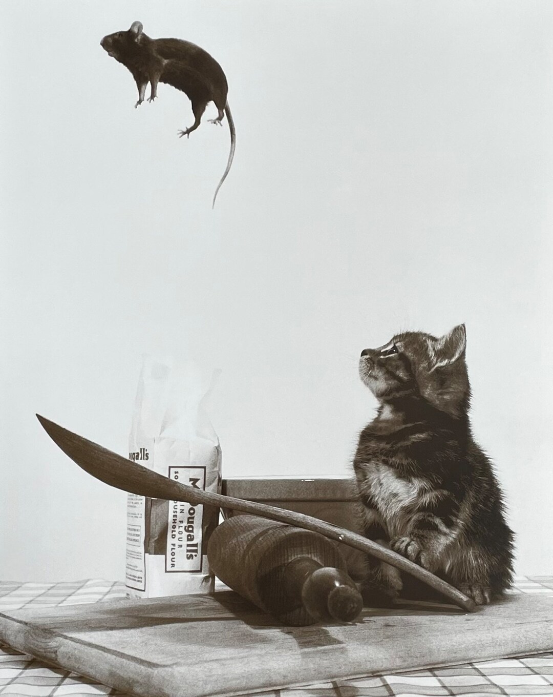 Don't Play With Your Food Exhibition Poster Cat and Mouse Kitchen ...