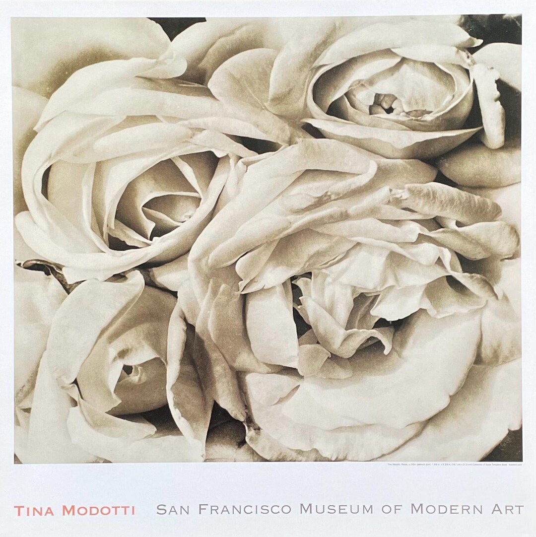 Tina Modotti Exhibition Poster - Roses - San Francisco Museum of Art ...