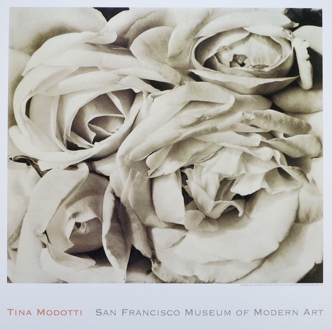Tina Modotti Exhibition Poster Roses San Francisco Museum of Art Famous ...
