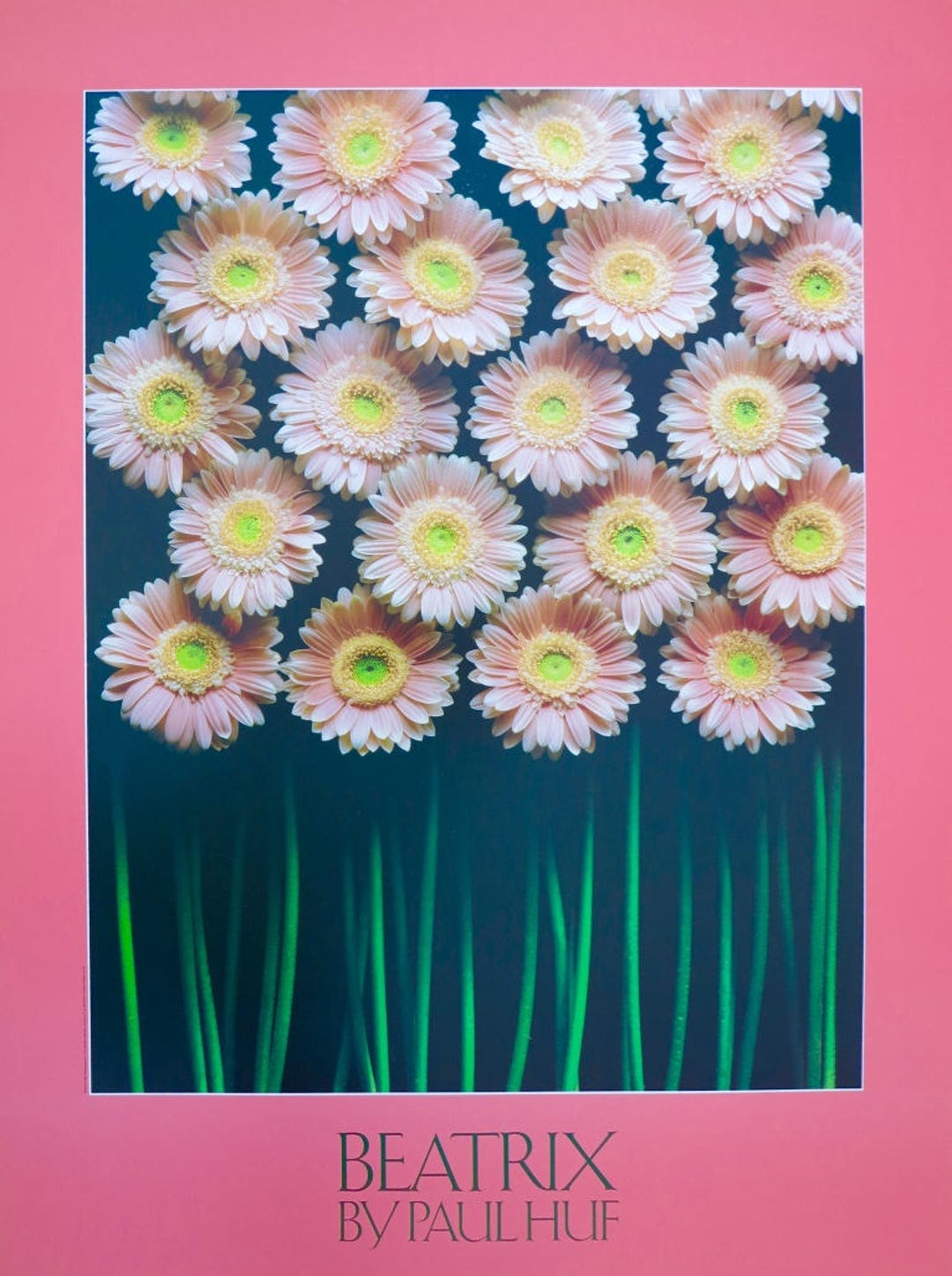 Paul Huf Exhibition Poster Flowerpower Gerberas Still Life Vintage ...