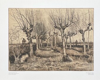 Pollard Birches, 1884. Drawing by Vincent Van Gogh. Fine Art Print ...