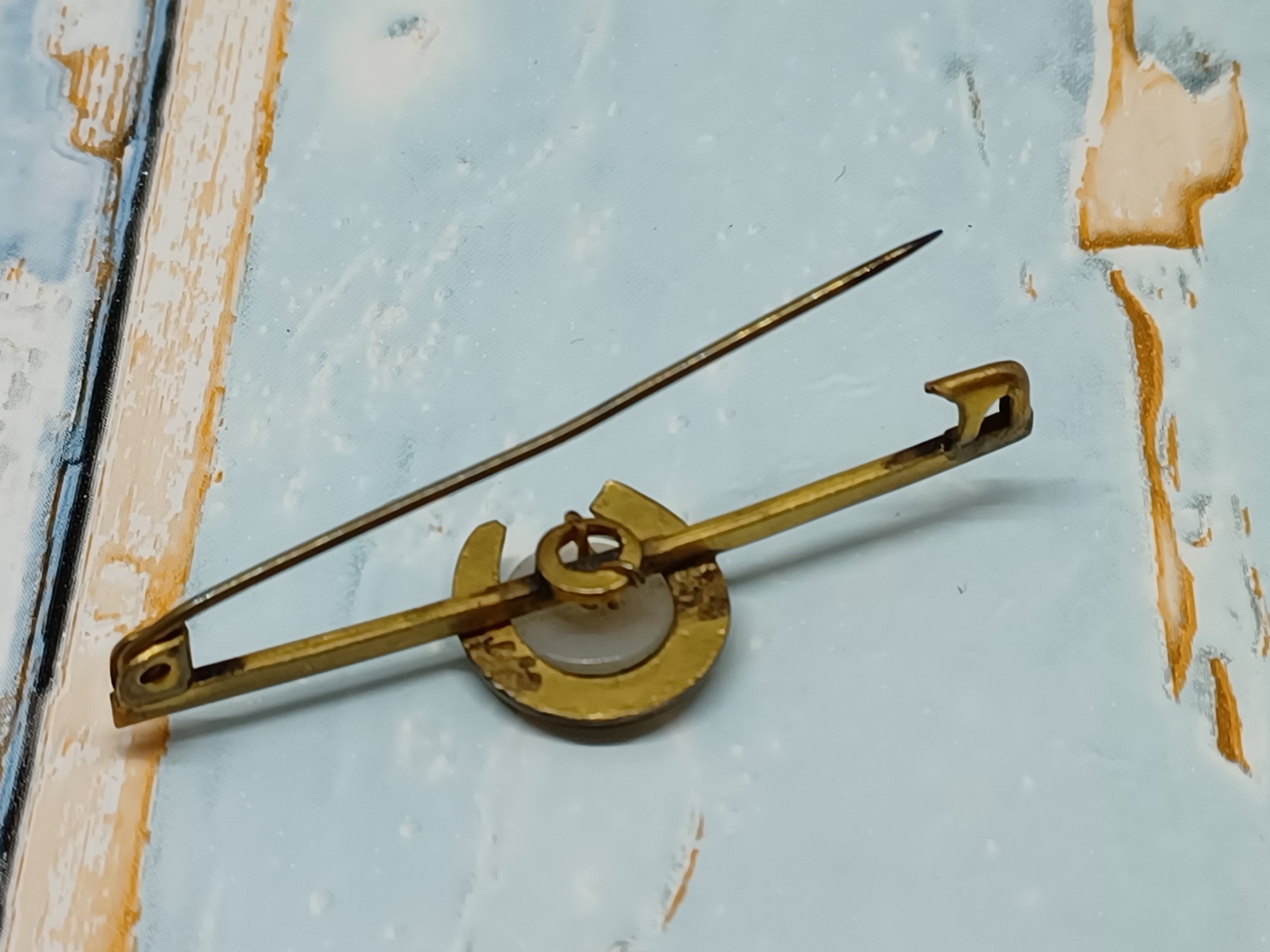 Vintage Stock Pin With Horseshoe and Clover on a Mother of - Etsy