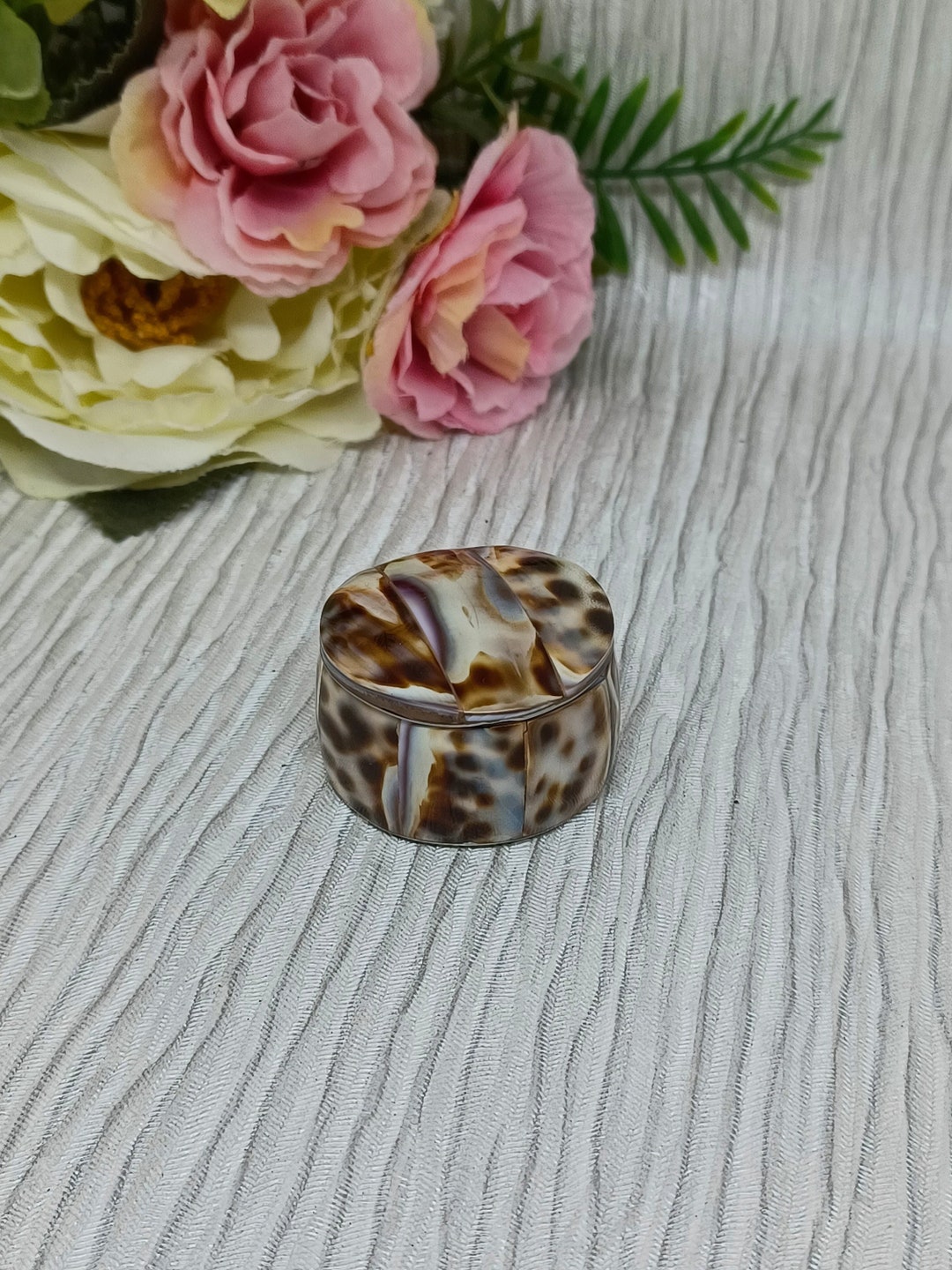 Trinket or Pill Box With Cowry Shell Decoration Brown Spotted Cowrie ...
