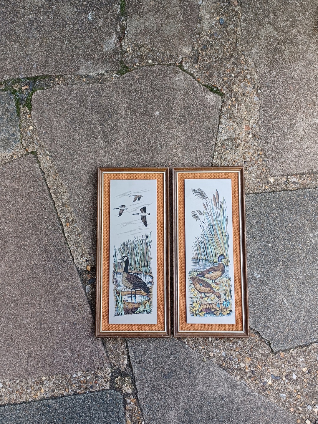 Pair of 1970s Titanium Pictures of Ducks and Geese 1978 Vintage Framed ...