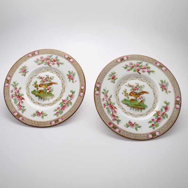 Royal Worcester Antique Plate - Etsy