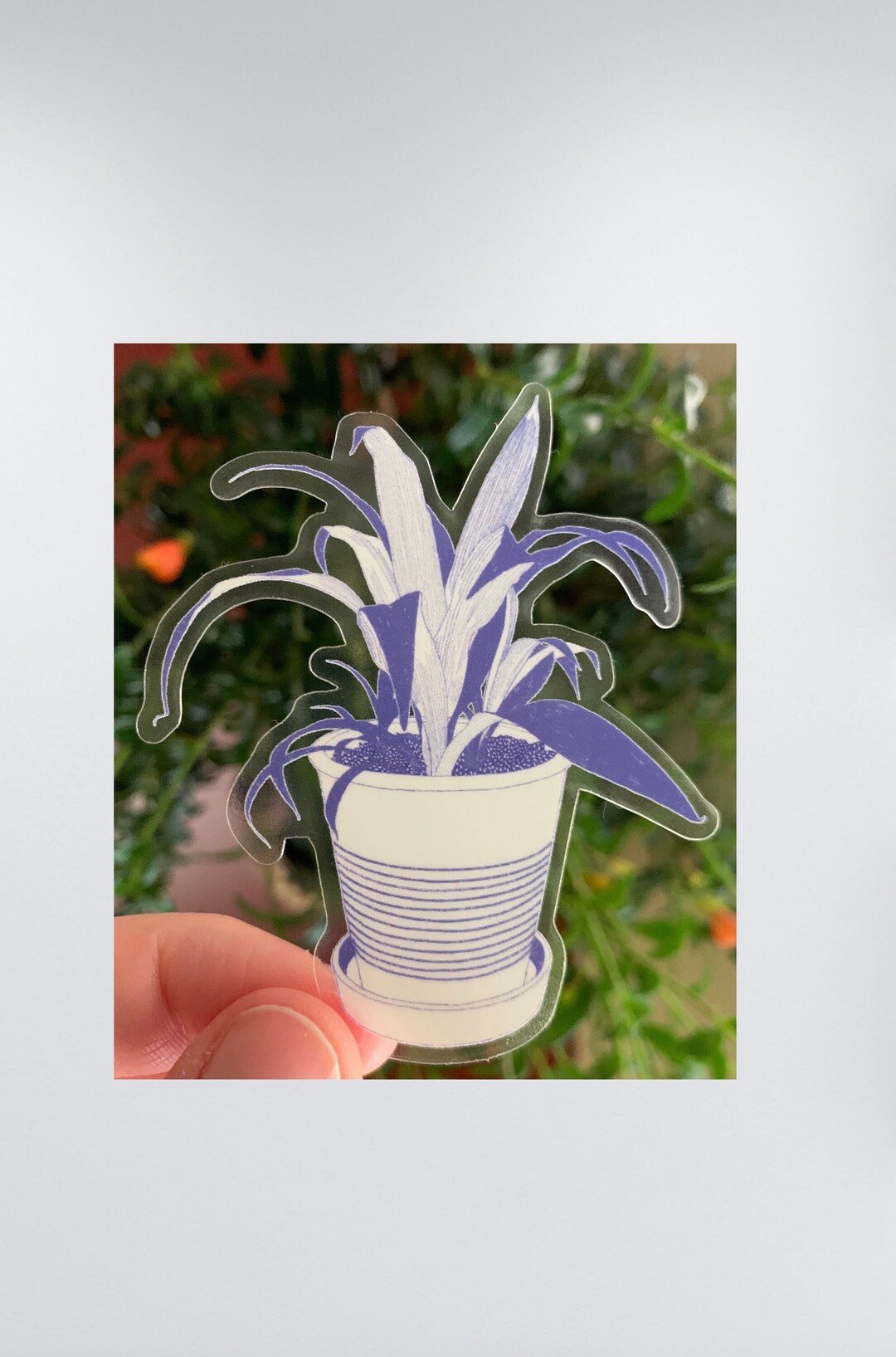 Spider Plant Sticker Die Cut Vinyl Plant Sticker Laptop Water - Etsy
