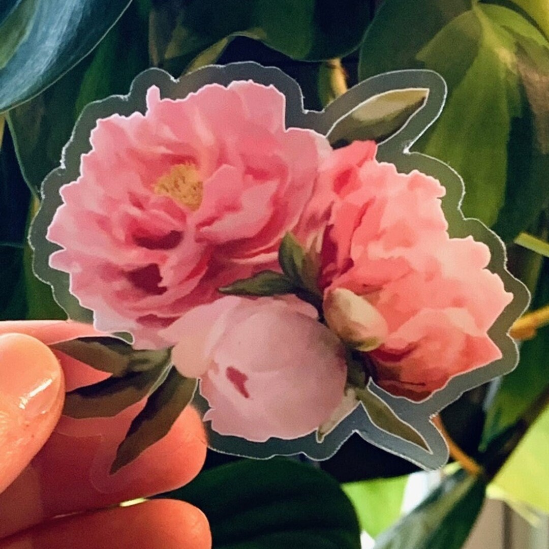 Peony Clear Sticker Die Cut, Botanical, Floral Sticker, Vinyl, Sticker ...