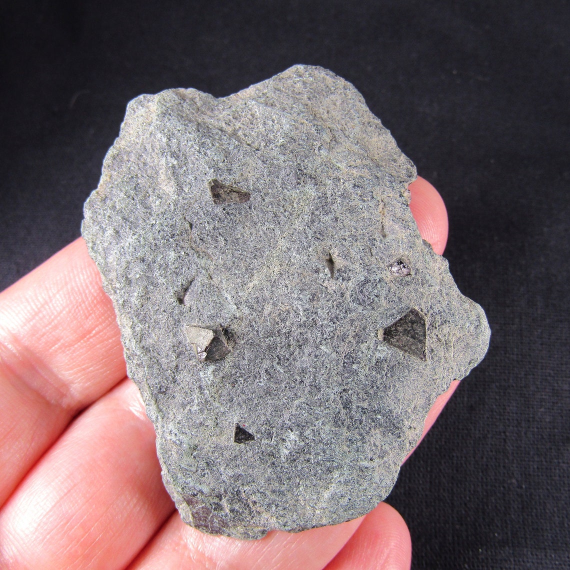 Raw Magnetite Crystals on Schist Collection Sample 2.55 | Etsy