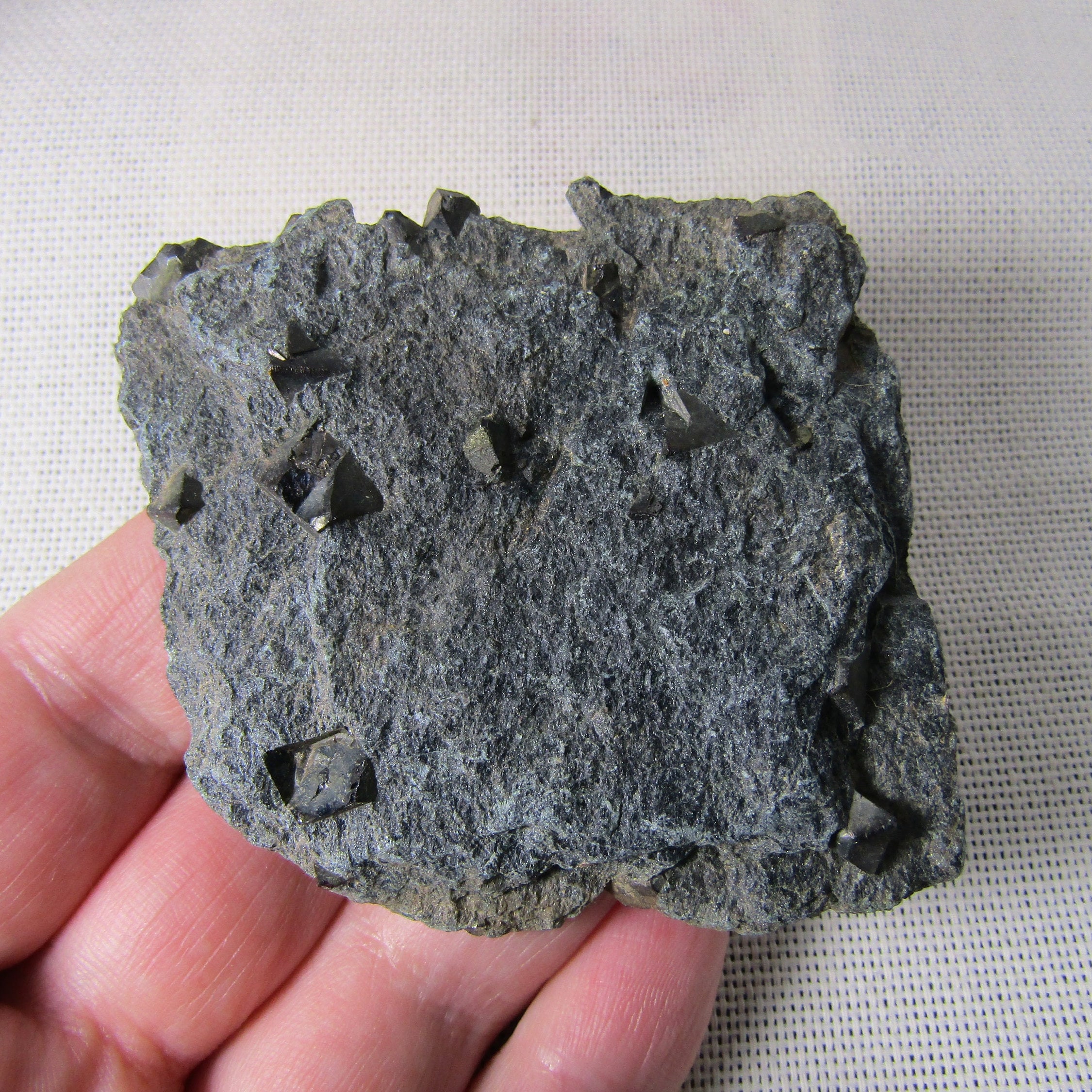 Magnetite Crystals on Schist Mineral Sample 2.71 . | Etsy