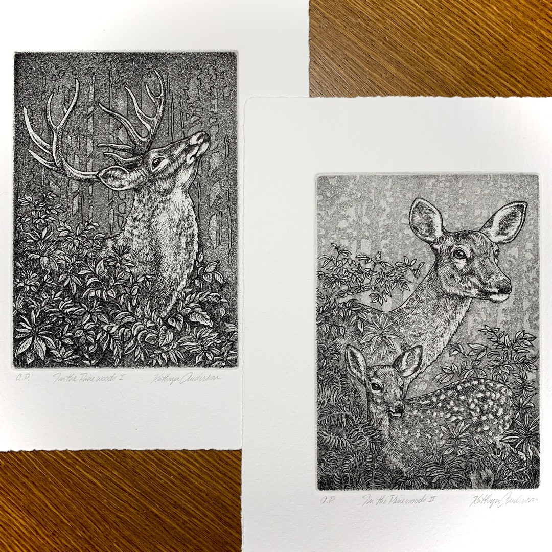 In the Pinewoods I & II, Original Etchings, Limited Edition, Stag, Doe and Fawn - Etsy
