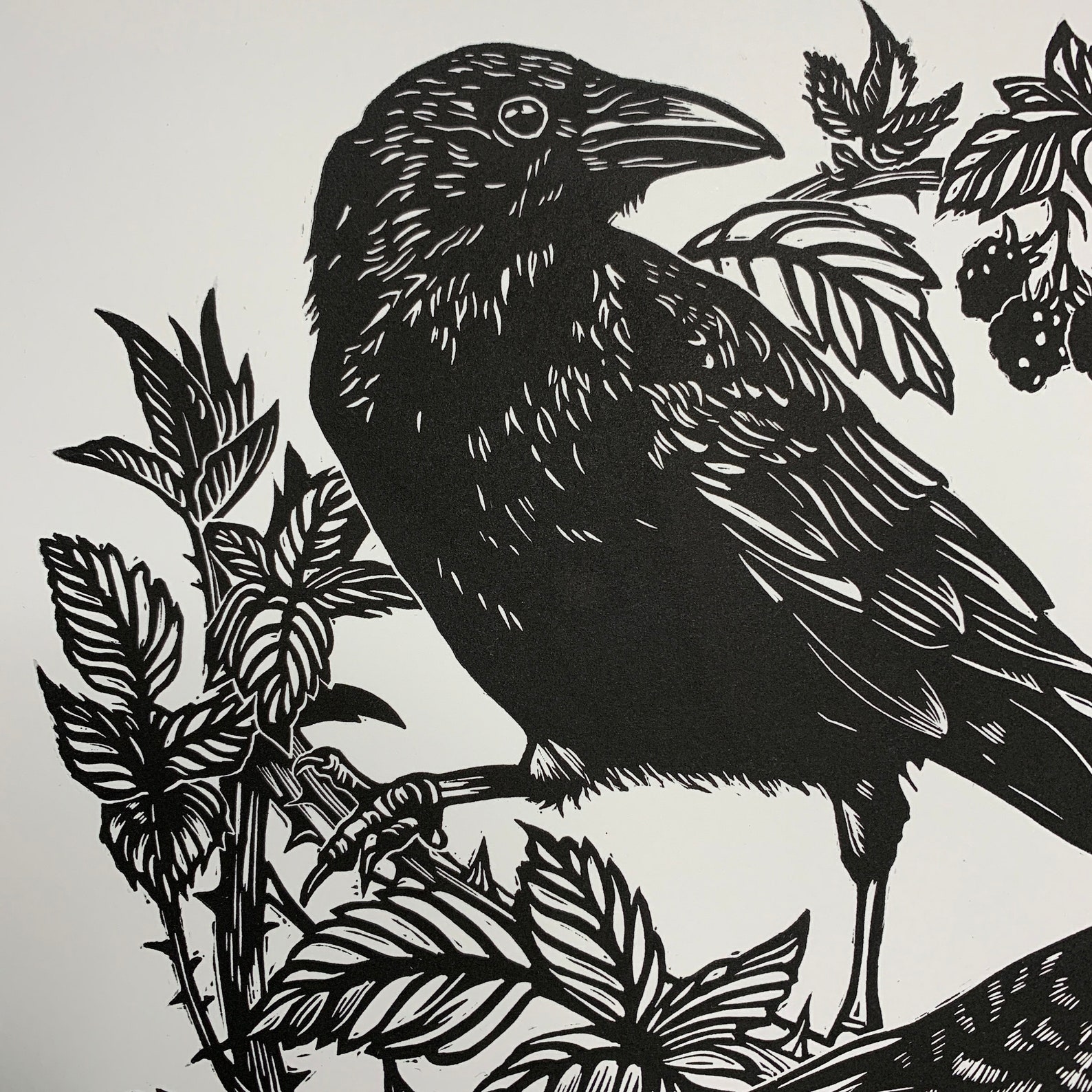 Two for Joy Limited Edition Linocut Crow Corvid - Etsy