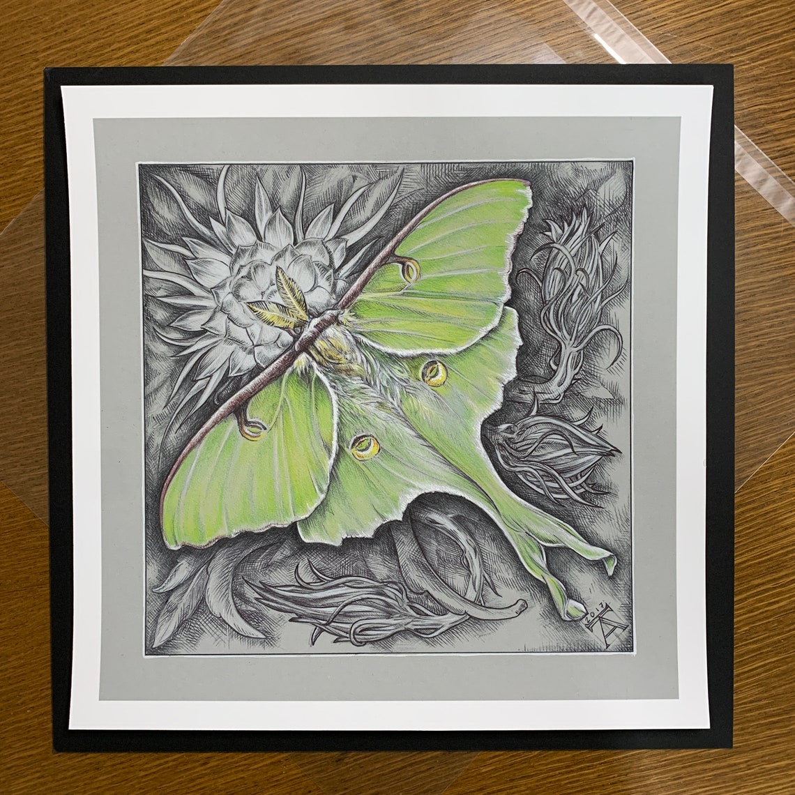 Luna Luna Moth Fine Art Print | Etsy