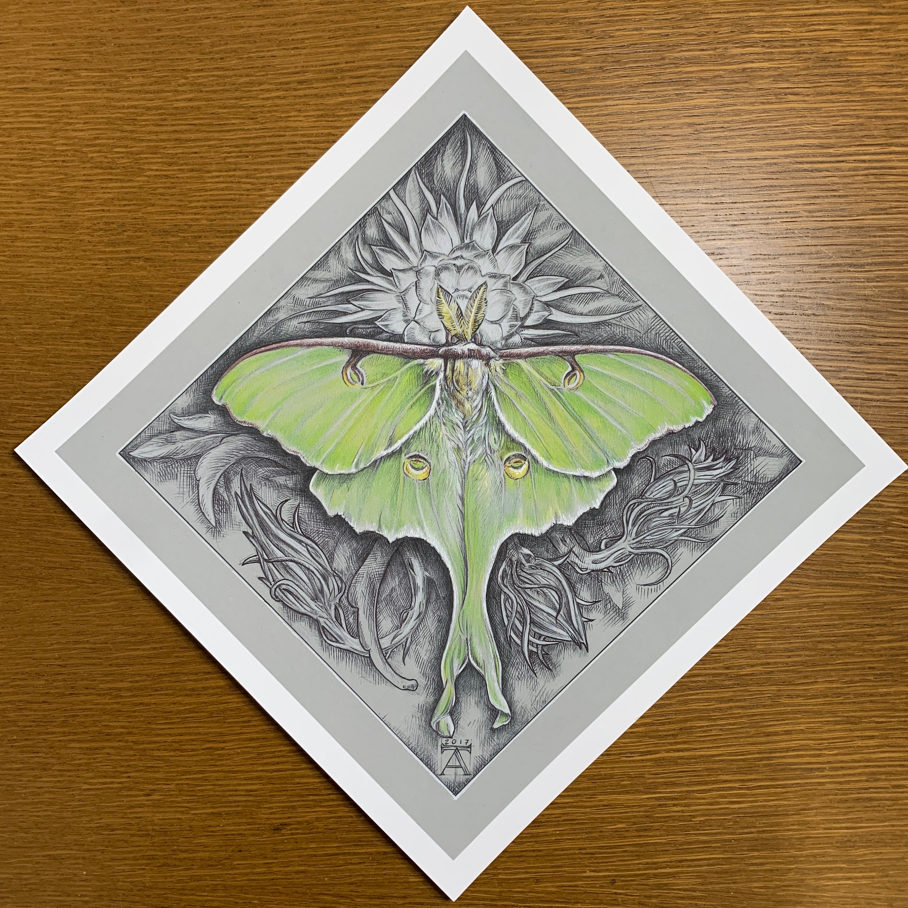 Luna Luna Moth Fine Art Print | Etsy