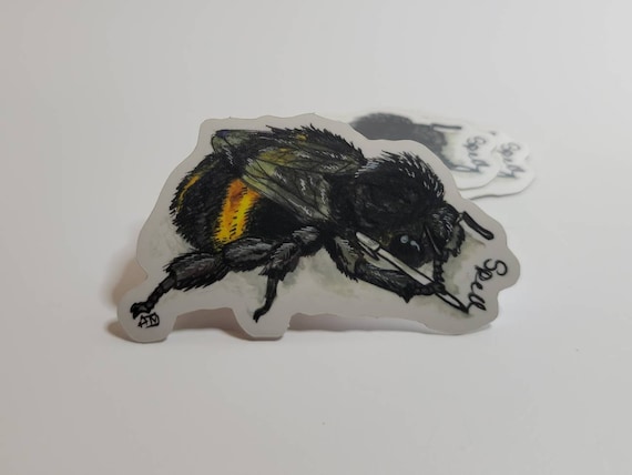 Spelling Bee Vinyl Sticker | Etsy