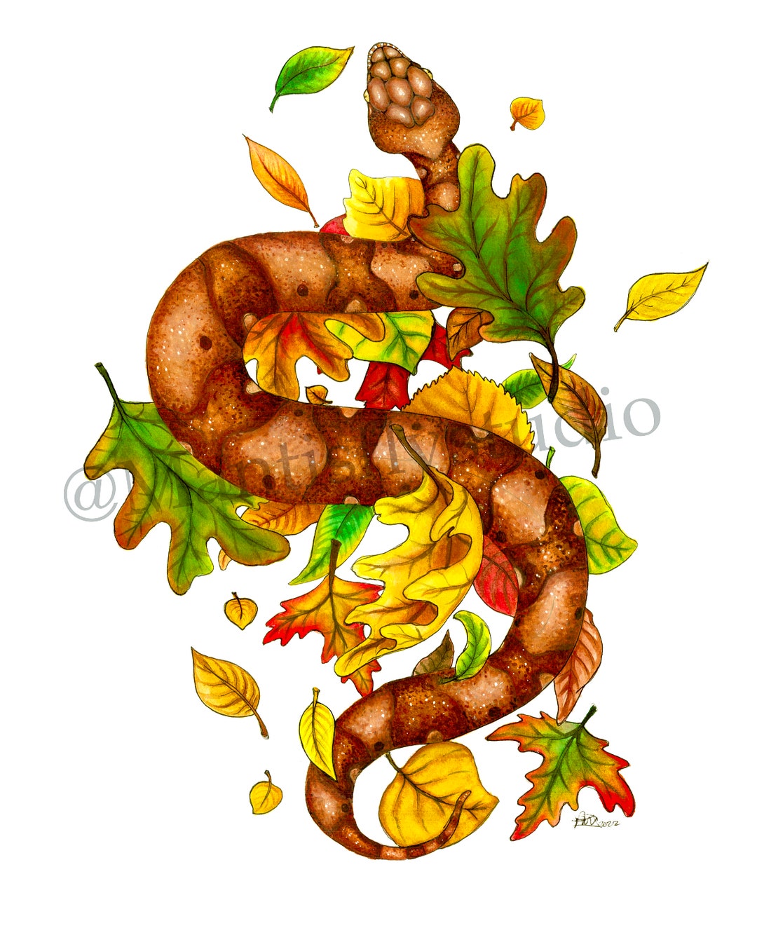 Copperhead Print - Etsy