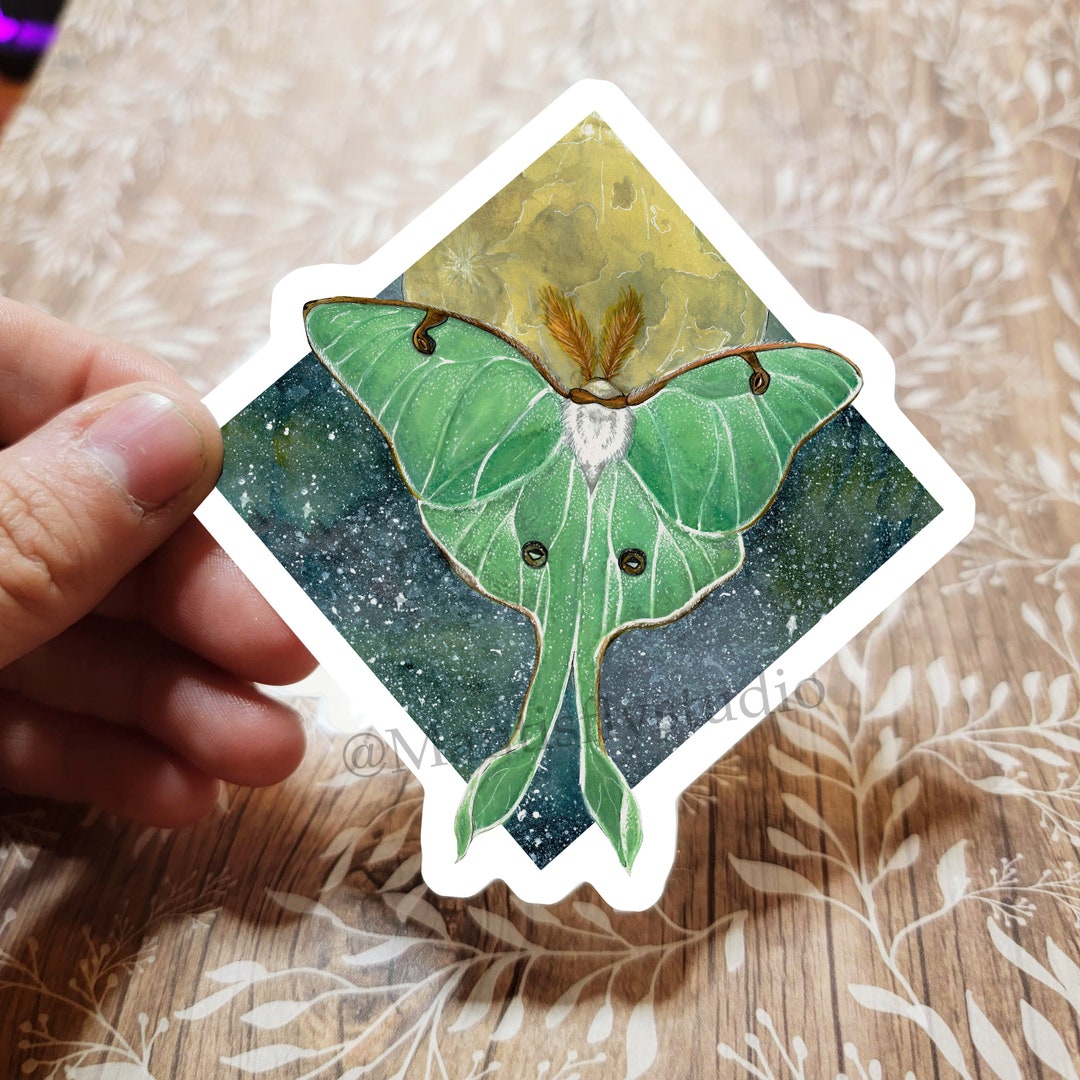 4" Luna Moth Sticker - Etsy