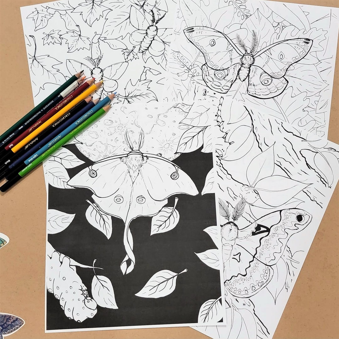 4 Giant Silk Moth Coloring Book Pages **digital Download** - Etsy