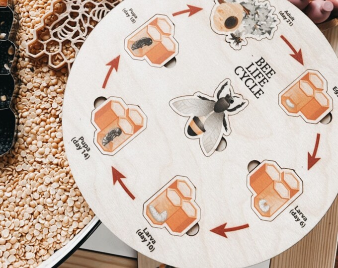 Bee Lifecycle Puzzle, Montessori Life Cycle, Wooden Lifecycle Puzzle ...