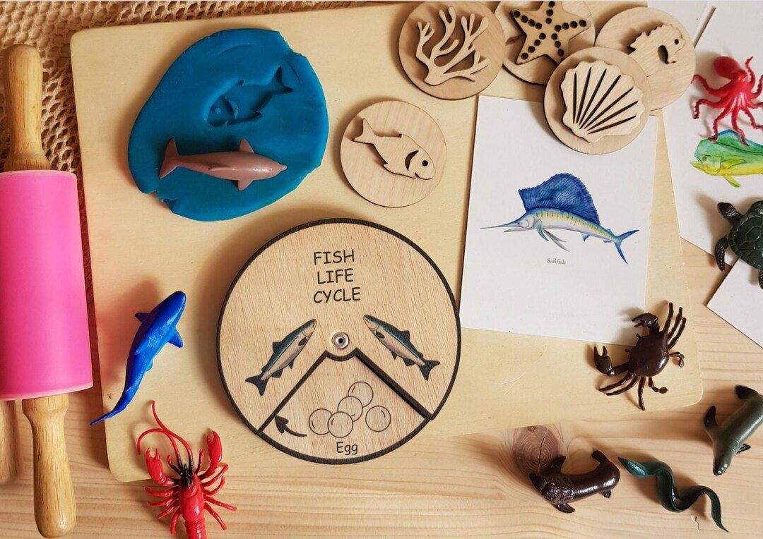 Life Cycle of Fish, Montessori Life Cycle, Nature Themed Toys ...