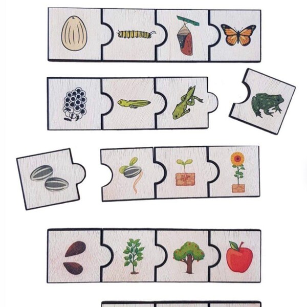 Life Cycle Puzzle - Etsy