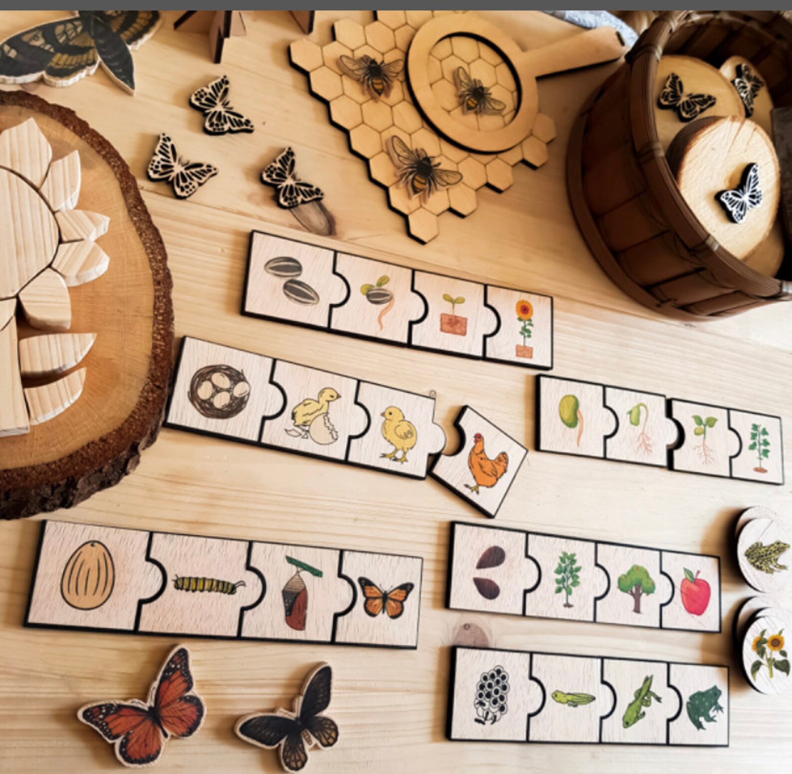 Montessori Life Cycle Set for Kids Life Cycle Butterfly | Etsy