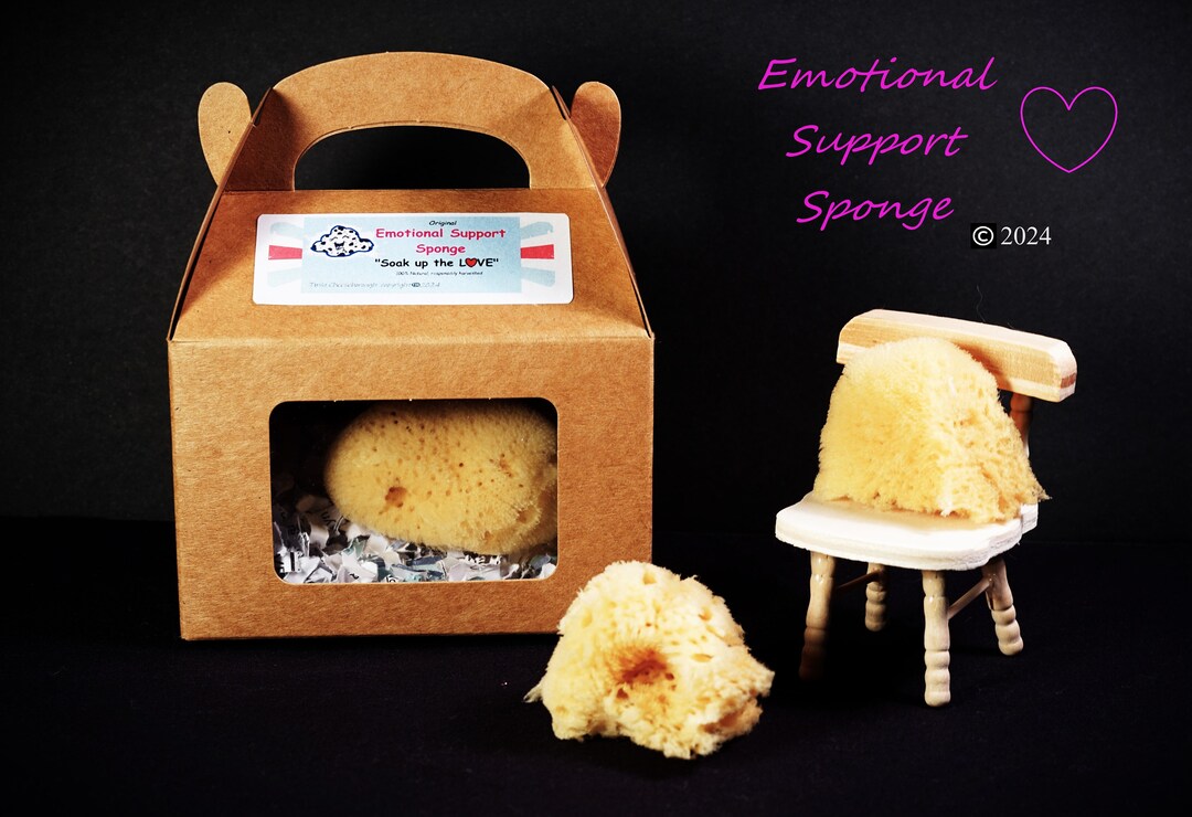 Emotional Support Sponge Babies Adorable Real Sponges, No 2 Alike ...